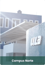 Estudia una materia cada 4 semanas