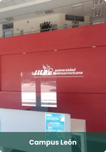 Estudia una materia cada 4 semanas