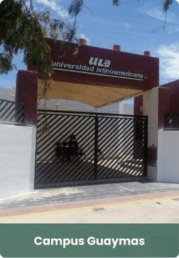 Estudia una materia cada 4 semanas