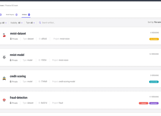 Comet's Innovative ML Products