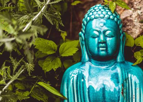 The Art of Living Retreat Center: Where health meets happiness.