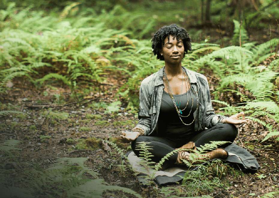 The Art of Living Retreat Center: Where health meets happiness.