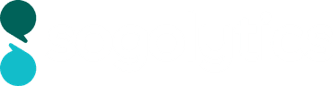 Sogolytics: Intuitive Survey Software for comprehensive insights