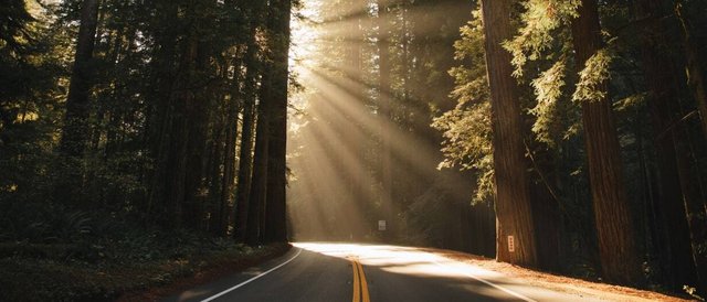Getting started on Turo guide | Turo car sharing marketplace