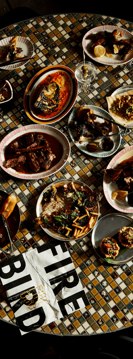 Firebird by Hanoi Hannah