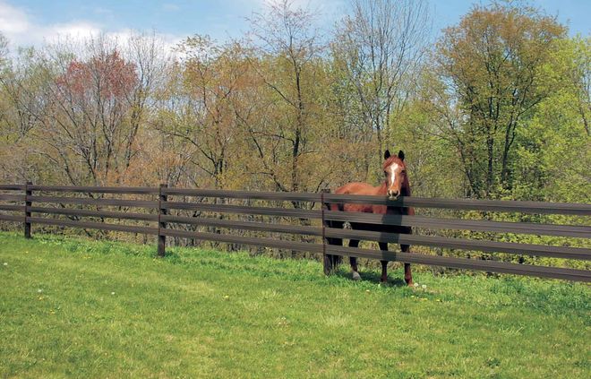 Get Flex Fencing Today | System Equine