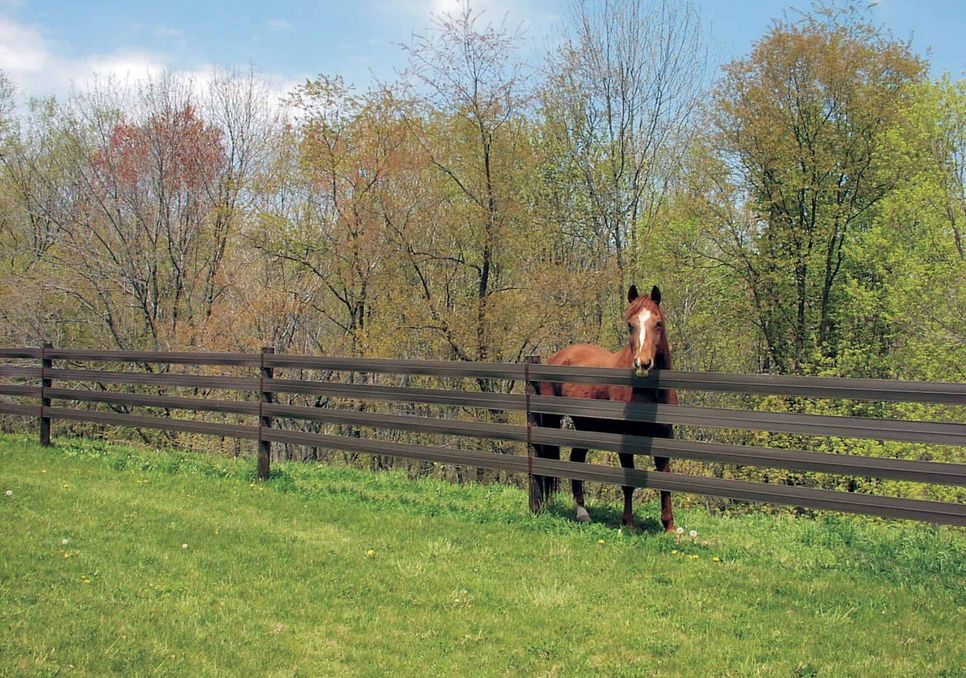 Get Flex Fencing Today | System Equine