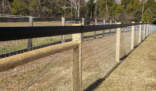 Get Flex Fencing Today | System Equine