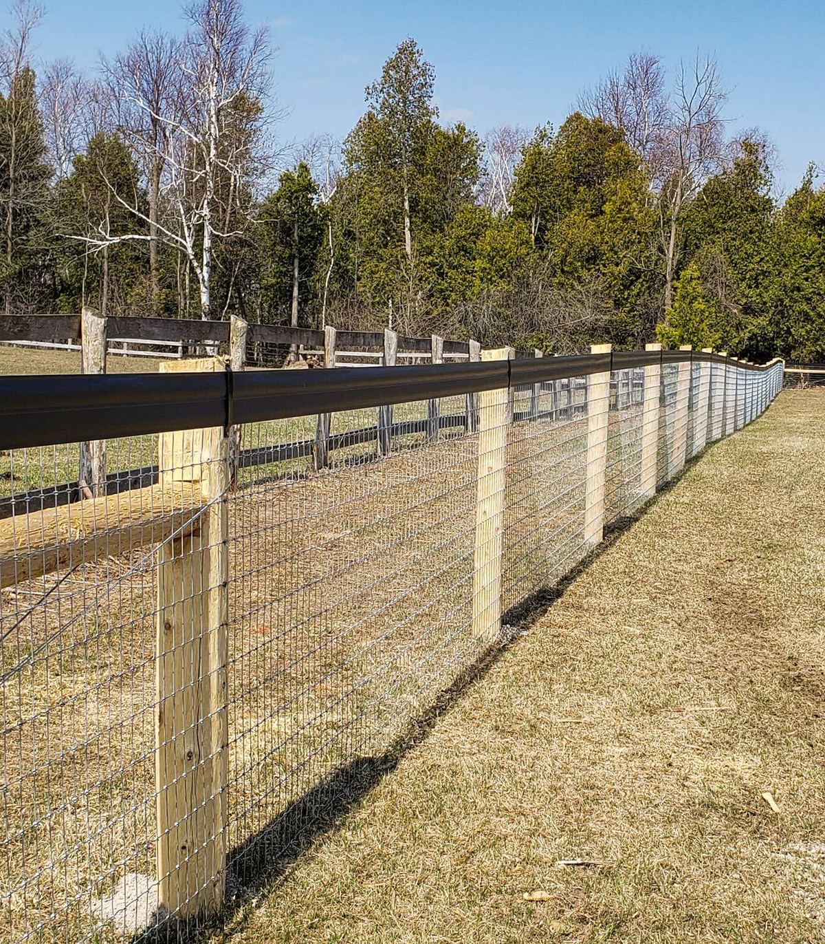 Get Flex Fencing Today | System Equine