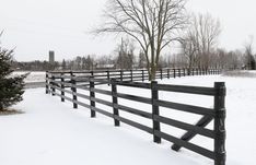 Get Flex Fencing Today | System Equine