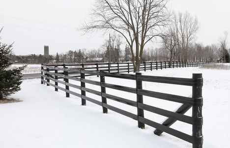 Get Flex Fencing Today | System Equine