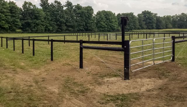 Get Flex Fencing Today | System Equine