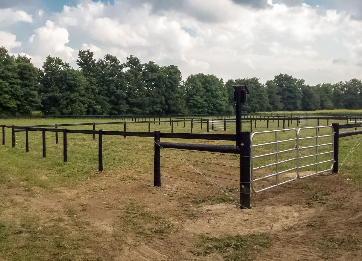 Get Flex Fencing Today | System Equine