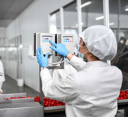 Advanced Ventilation Solutions for Food Processing Facilities