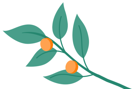 WildApricot | The most-used membership management software on Earth.