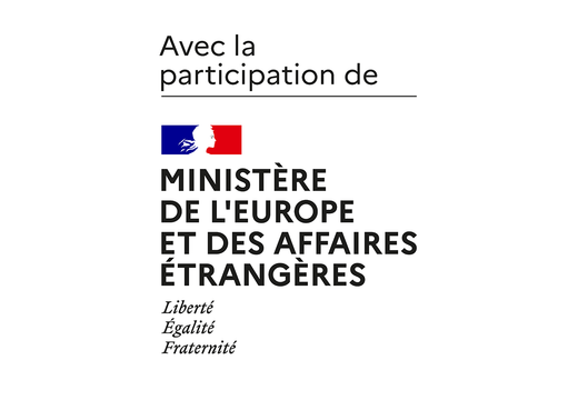 Formation INSO - Gestion de la sécurité pour les ONG | DisasterReady.org