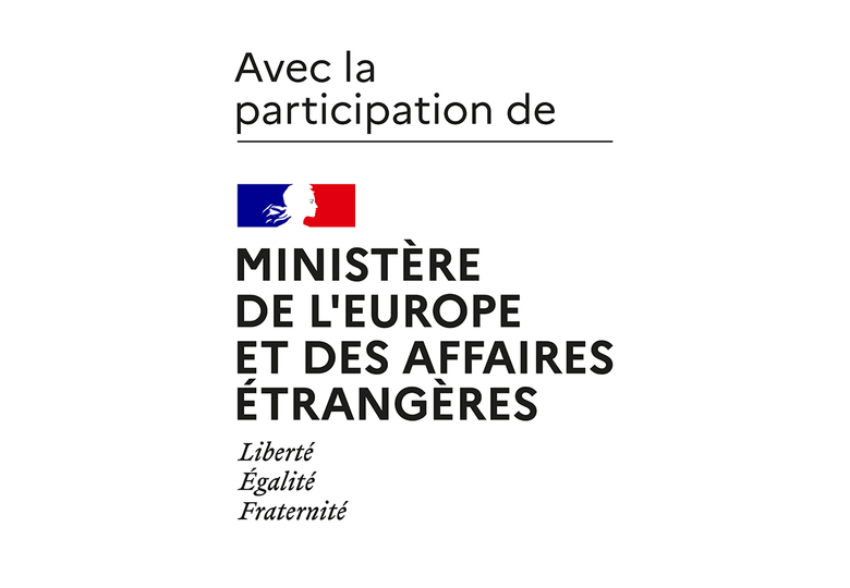 Formation INSO - Gestion de la sécurité pour les ONG | DisasterReady.org