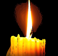 Free Online Training Courses To Strengthen Your Humanitarian Skills ...