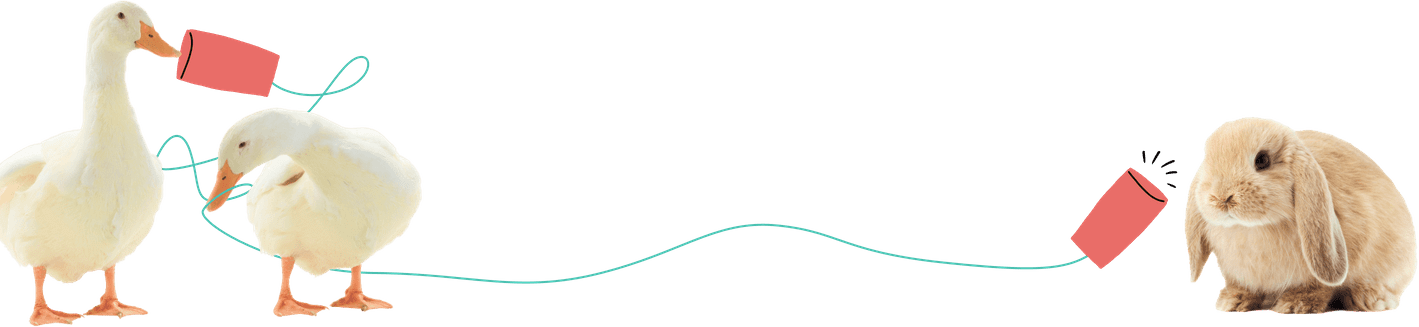 Cloud Veterinary Software | ezyVet