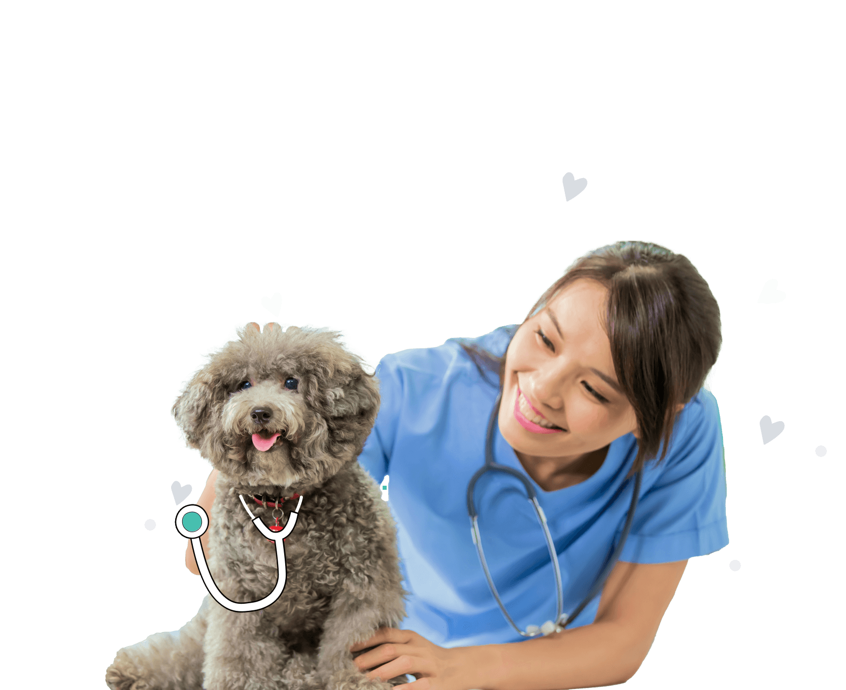 Cloud Veterinary Software | ezyVet