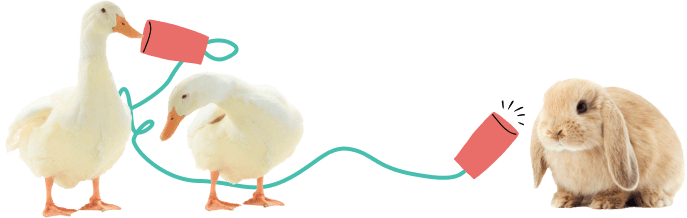 Cloud Veterinary Software | ezyVet