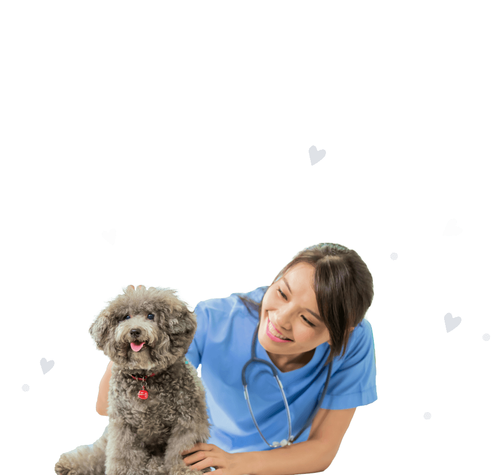 Cloud Veterinary Software | ezyVet