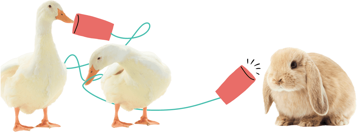 Cloud Veterinary Software | ezyVet