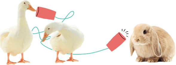 Cloud Veterinary Software | ezyVet