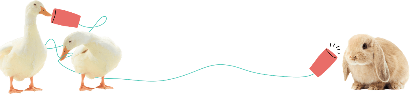 Cloud Veterinary Software | ezyVet