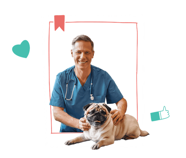 Cloud Veterinary Software | ezyVet