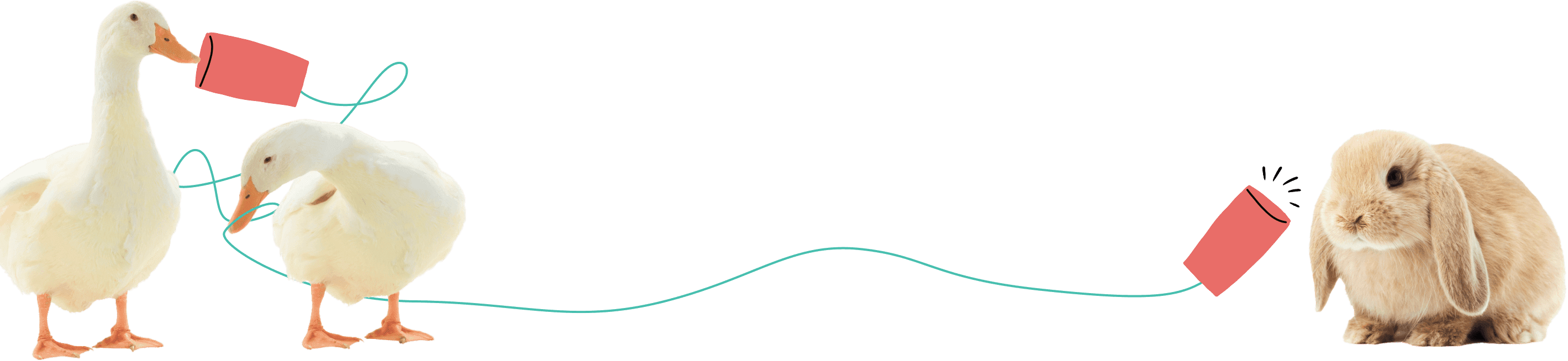 Cloud Veterinary Software | ezyVet