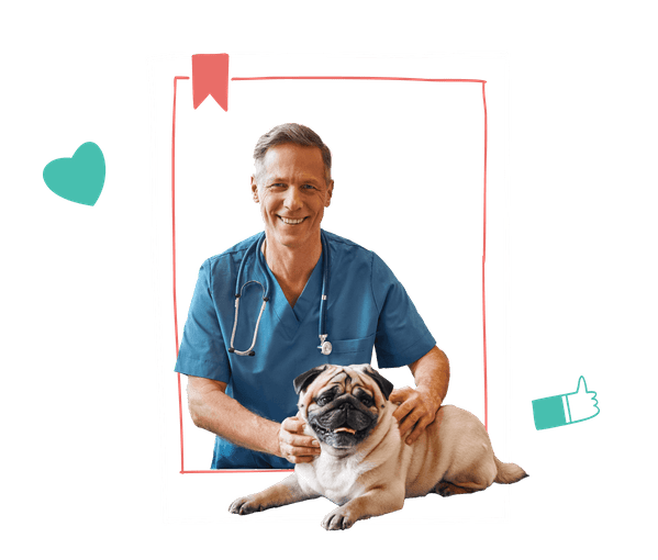 Cloud Veterinary Software | ezyVet