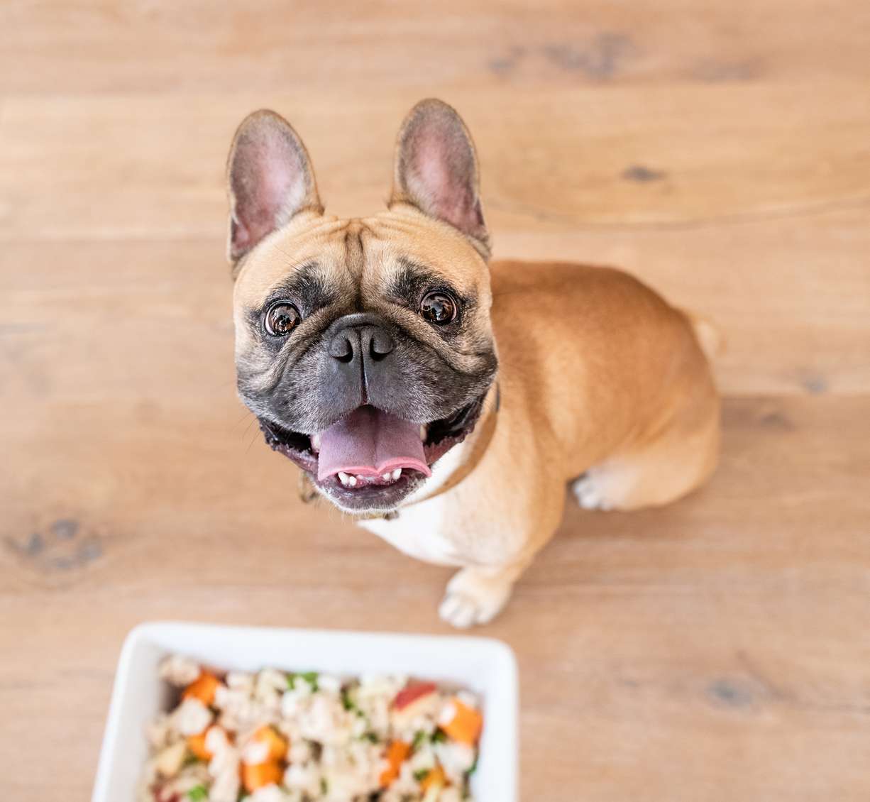 JustFoodForDogs | #1 Vet Recommended Fresh Whole Food For Dogs