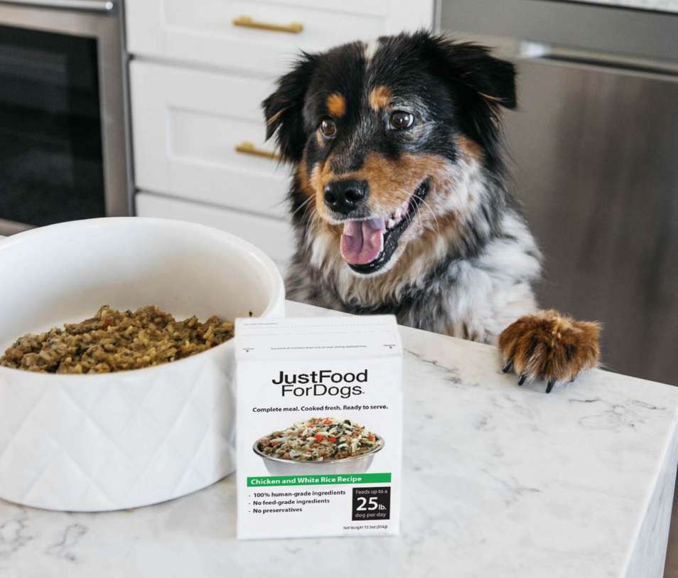 JustFoodForDogs | Real Food for Real Good Dogs