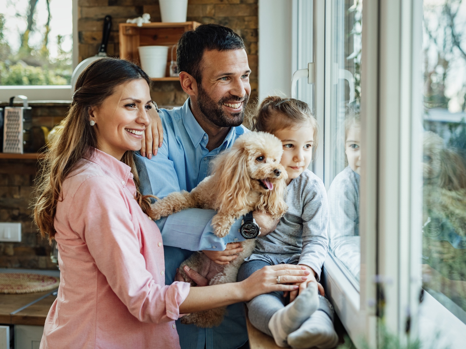 LA Custom Blinds | Roller Shades | Buy One, Get One Free