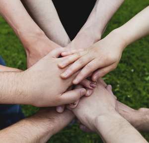 Free Board Of Directors Training Nonprofitready Org