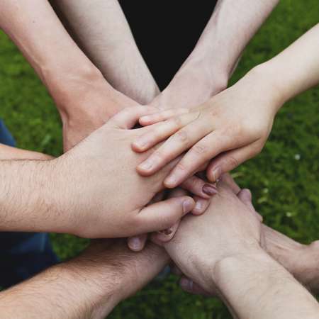 Free Board of Directors Training | NonprofitReady.org