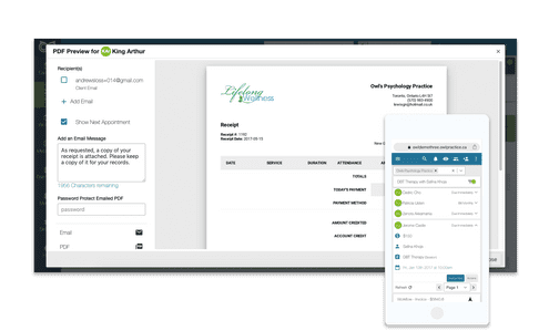 Save Time and Get Organized with Owl’s Practice Management
