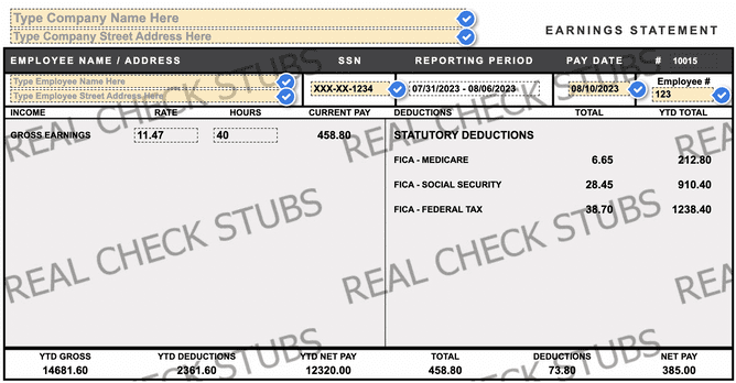 Real Check Stubs