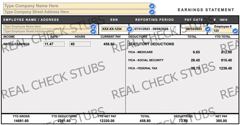 Real Check Stubs