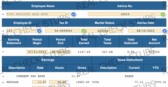 Real Check Stubs