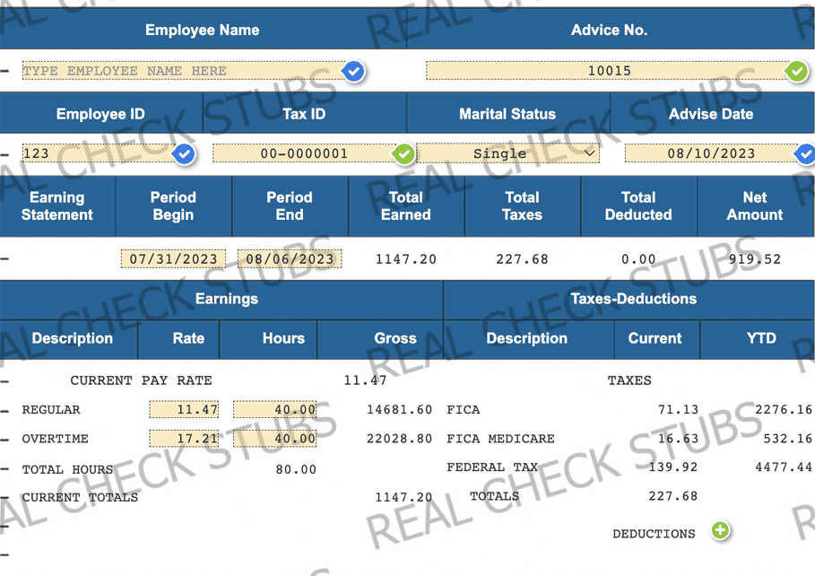 Real Check Stubs