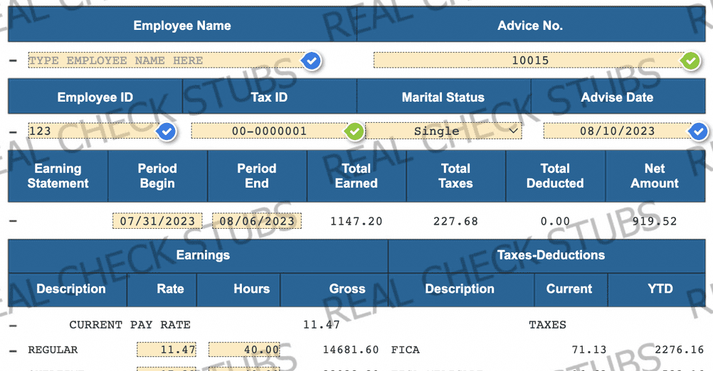 Real Check Stubs