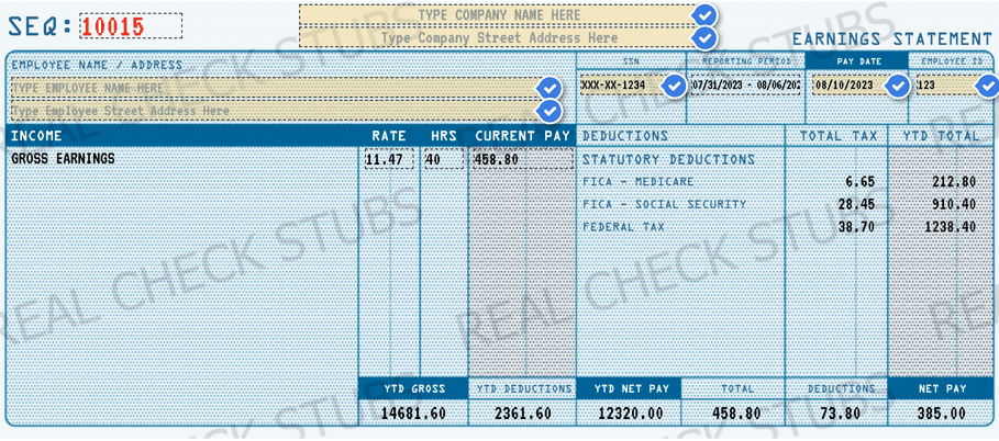Real Check Stubs