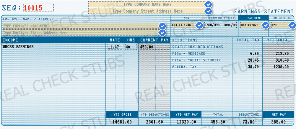 Real Check Stubs