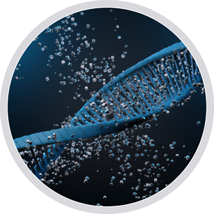 Ultra Rapid Whole Genome Sequencing