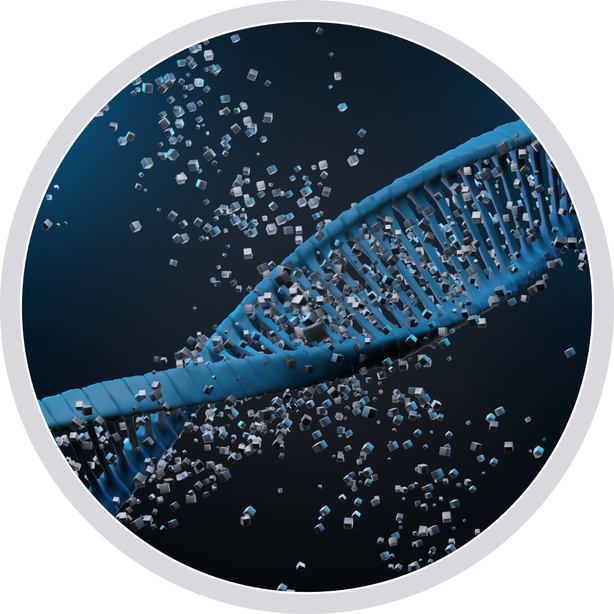 Ultra Rapid Whole Genome Sequencing