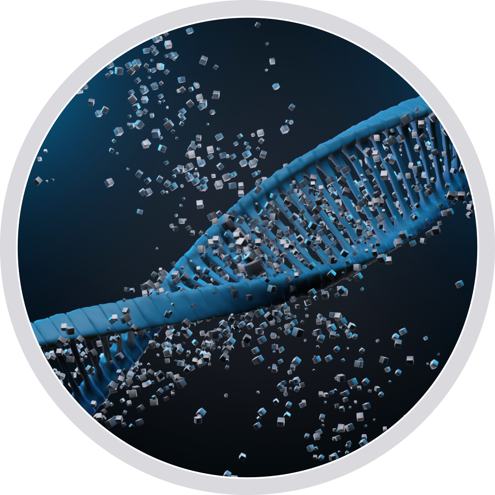 Ultra Rapid Whole Genome Sequencing