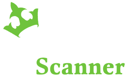Penny Options Scanner