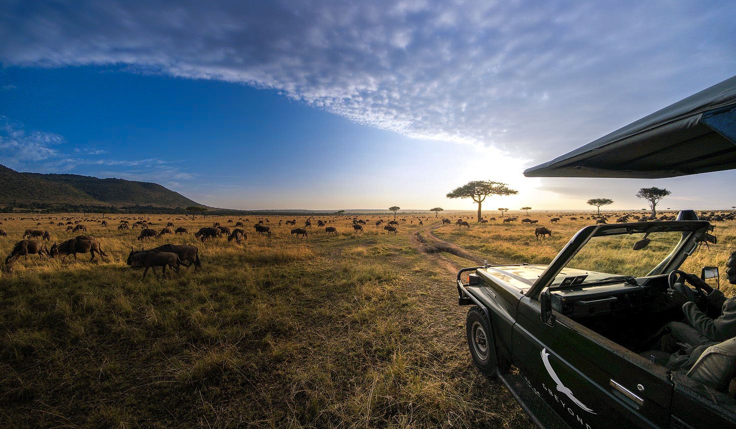 ATR Safari | Africa Safaris
